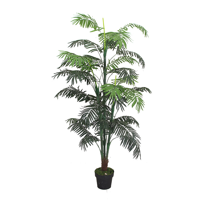 Palm Tree 170cm – Limited Edition